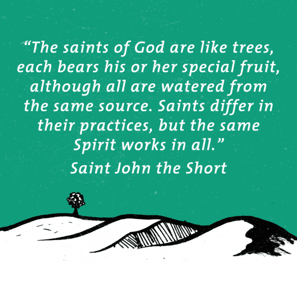 Why I Started My Book With Christ the true vine – Creative Orthodox